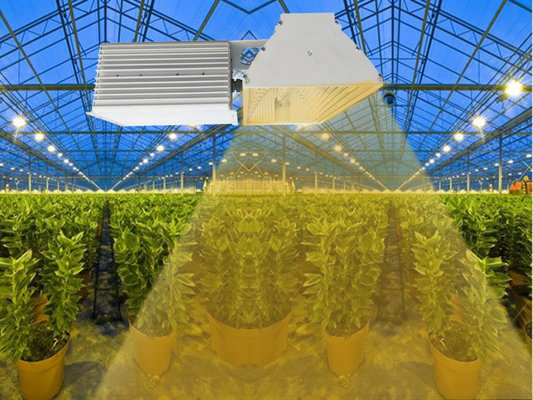 Double Ended Indoor Grow Lights , Aluminum Body Energy Saving HPS Grow Lights supplier