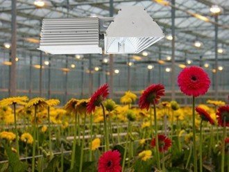 Easy Installation Plant Grow Lights 630W Low Frequency Ballasts With Soft Start supplier