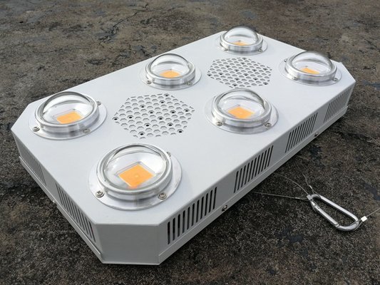 RikoLite 300W Full Spectrum LED Grow Light COB  with UV for Indoor Farming Plants Grow supplier
