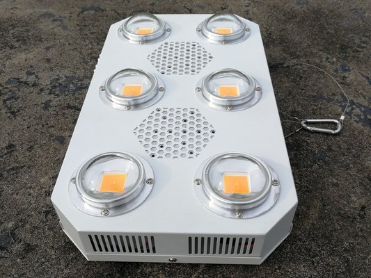 RikoLite 300W Full Spectrum LED Grow Light COB  with UV for Indoor Farming Plants Grow supplier