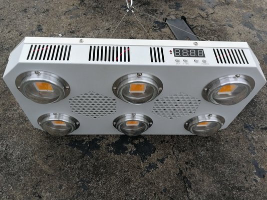 RikoLite 300W Full Spectrum LED Grow Light COB  with UV for Indoor Farming Plants Grow supplier