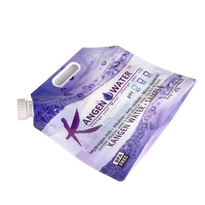 Custom Printing 5L Foldable Water Bag With Handle