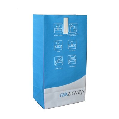 Personal Care Custom Printing Vomit Paper Bag Without Handle