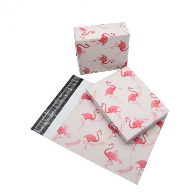 Custom Print Logo Poly Mailer Bag Home Compostable  Gravure Printing 5