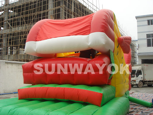 Plato Cartoon Fish Slide/Commercial Inflatable Slide With Printing Banner