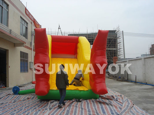 Plato Cartoon Fish Slide/Commercial Inflatable Slide With Printing Banner