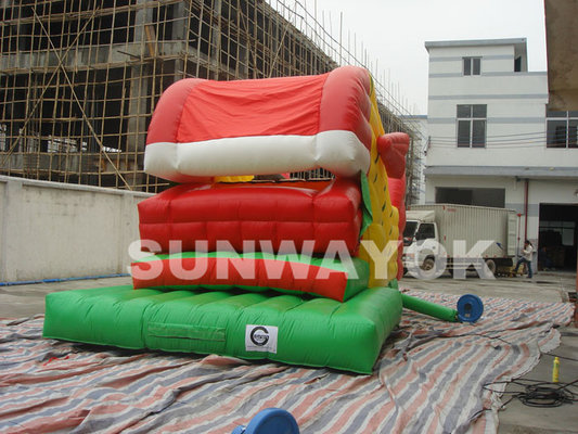 Plato Cartoon Fish Slide/Commercial Inflatable Slide With Printing Banner