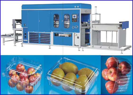 PP Plastic Vaccum Thermoforming Machine High precision For Food Containers