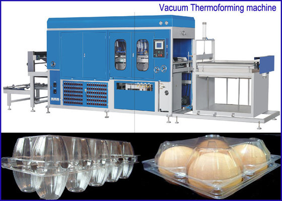 Full Automatic Plastic Thermoforming Machine high precision disposable