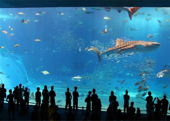 Tinted clear Acrylic Plexiglass Aquarium , Cast Acrylic Sheet Thickness 2 mm to 500mm