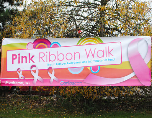 Customized Colorful Flex PVC Vinyl Banners For Advertising , Digital Printing
