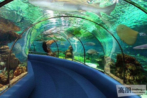 Milky Aquarium Pool PMMA Fluorescent Acrylic Sheet , Clear Plexiglass Panels