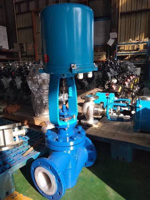 motorized globe valve