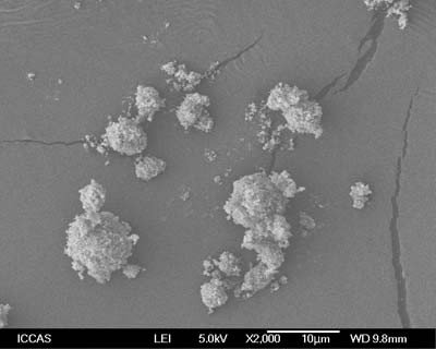 China 12um-96 Hydroxyapatite exporter