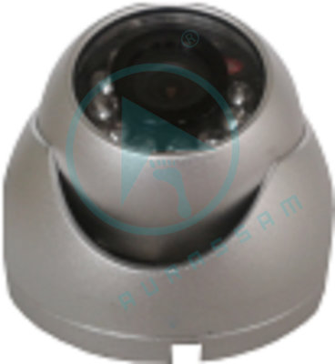 Auto  White Balance Waterproof  Car Camera  , 600TV Lines