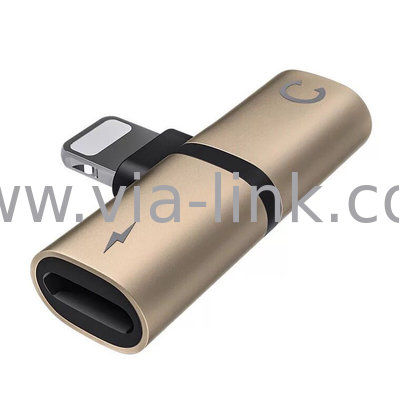 2 in 1 Dual Mini Jack Adapter Capsule Lightning Charger and Headphone Adapter Splitter Compatible with Phone