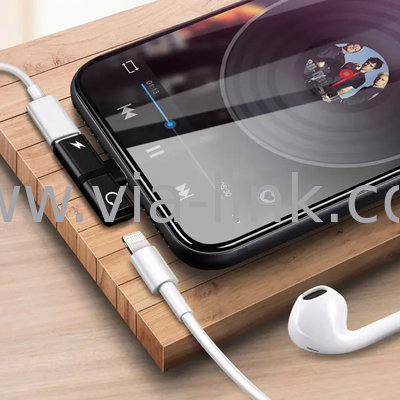 2 in 1 Dual Mini Jack Adapter Capsule Lightning Charger and Headphone Adapter Splitter Compatible with Phone