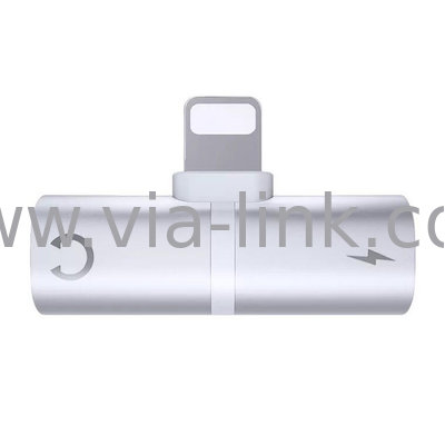 2 in 1 Dual Mini Jack Adapter Capsule Lightning Charger and Headphone Adapter Splitter Compatible with Phone