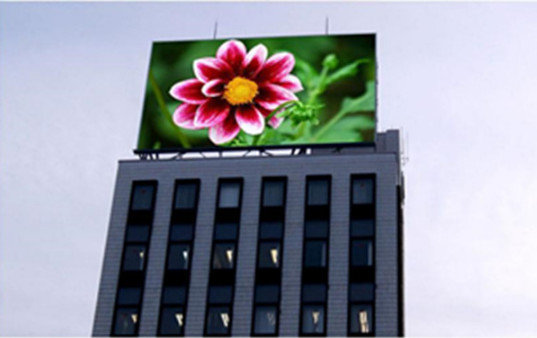 Large and Transparent Outdoor Full Color LED Display Wall P10 supplier