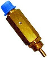 295617 SAFETY VALVE ASSY
