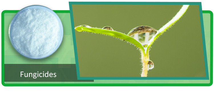 Fungicide