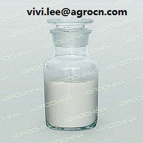 Abamectin 95% TC/insecticides/white powder