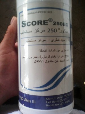 Ametryn 500g/L SC/Herbicides/Homogeneous suspension liquid