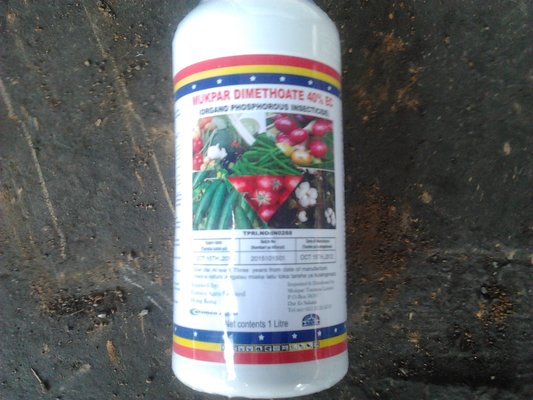 Bifenthrin 100g/L EC