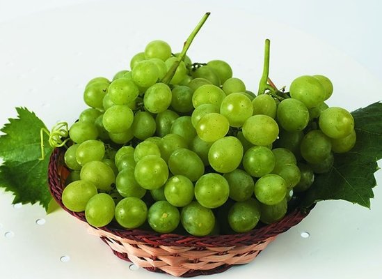 Paclobutrazol 95% TC/use for Grape/fruit