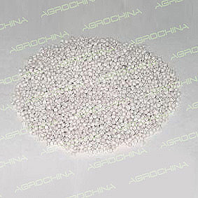 NPK/organic fertilizer/Egypt market