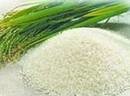 Thiram 95% TC /fungicide/White to cream powder
