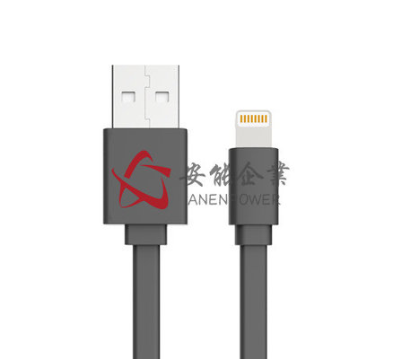 USB 2.0 Lighting Data Transfer Cable For IPad / IPhone / IPod , Updated According To IOS