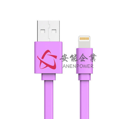 USB 2.0 Lighting Data Transfer Cable For IPad / IPhone / IPod , Updated According To IOS