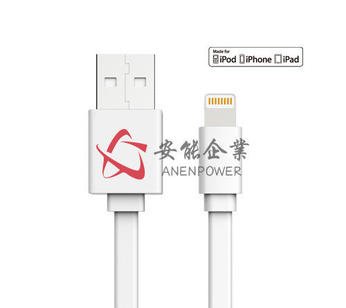 USB 2.0 Lighting Data Transfer Cable For IPad / IPhone / IPod , Updated According To IOS