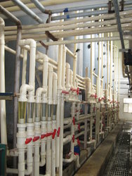 Anhui Wande Biological Science and Technology Co.,Ltd.