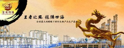 SINOYUET HONGKONG LIMITED