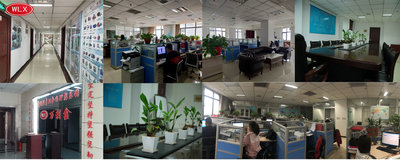Shijiazhuang Wanlixin Industrial and Trade Co.,Ltd