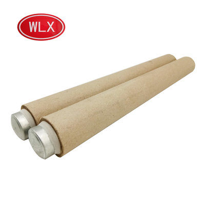 DIsposable/Immersion Iron sampler with High Quality supplier