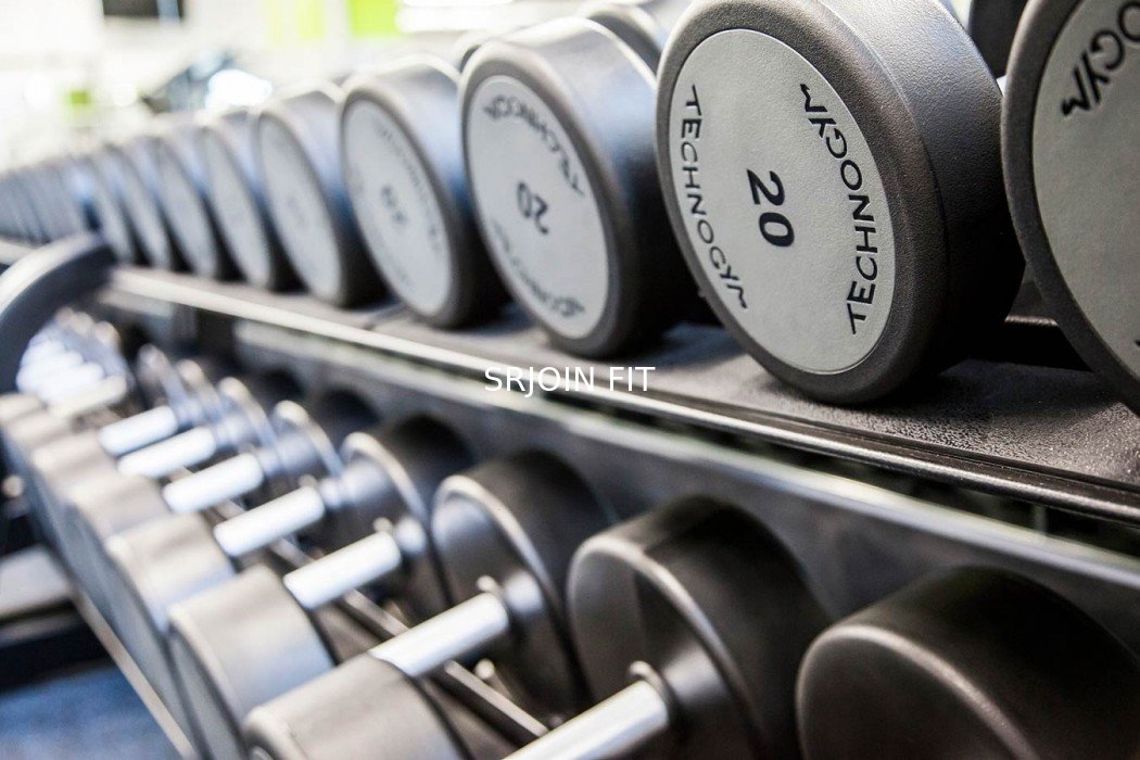 dumbbells for gym OEM the dumbbell