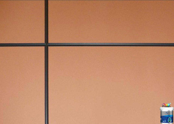 Luxurious Silk Water Based Wall Paint Benzene Free Formaldehyde Free