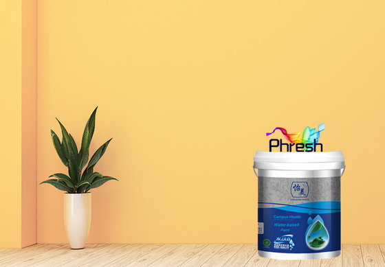 Exterior Wall Transparent Primer Paint Undercoat Water Resistant Clear White