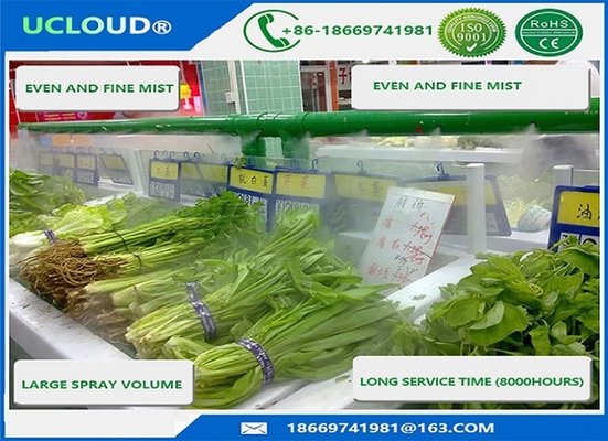 Small Ultrasonic Humidifier 24L / Hour Low Power Consumption For Vegetables Storage