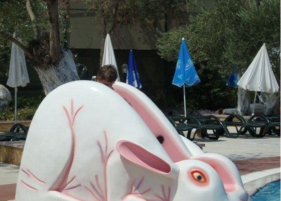 Funny Small Child / Kids Water Slides , Aqua Park Swimming Pool Water Slides