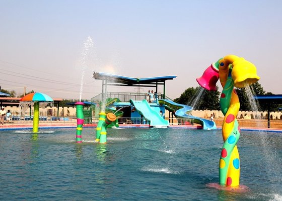 Outside Aqua Splash Water Playground Equipment Pumping Cantoon Animal for Family Fun