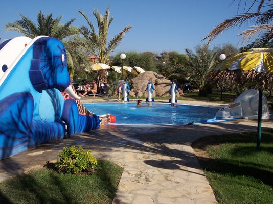 Adult Little Tikes Water Slide Theme Blue Fiberglass Park Use