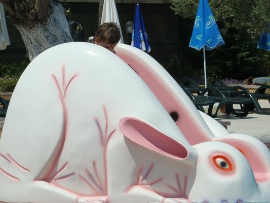 White / Pink Children Rabbit Home Water Slides For Aqua Park