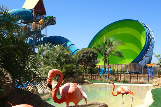 Green Adult Tornado Huge Water Slide Fiberglass Water Slide Outdoor