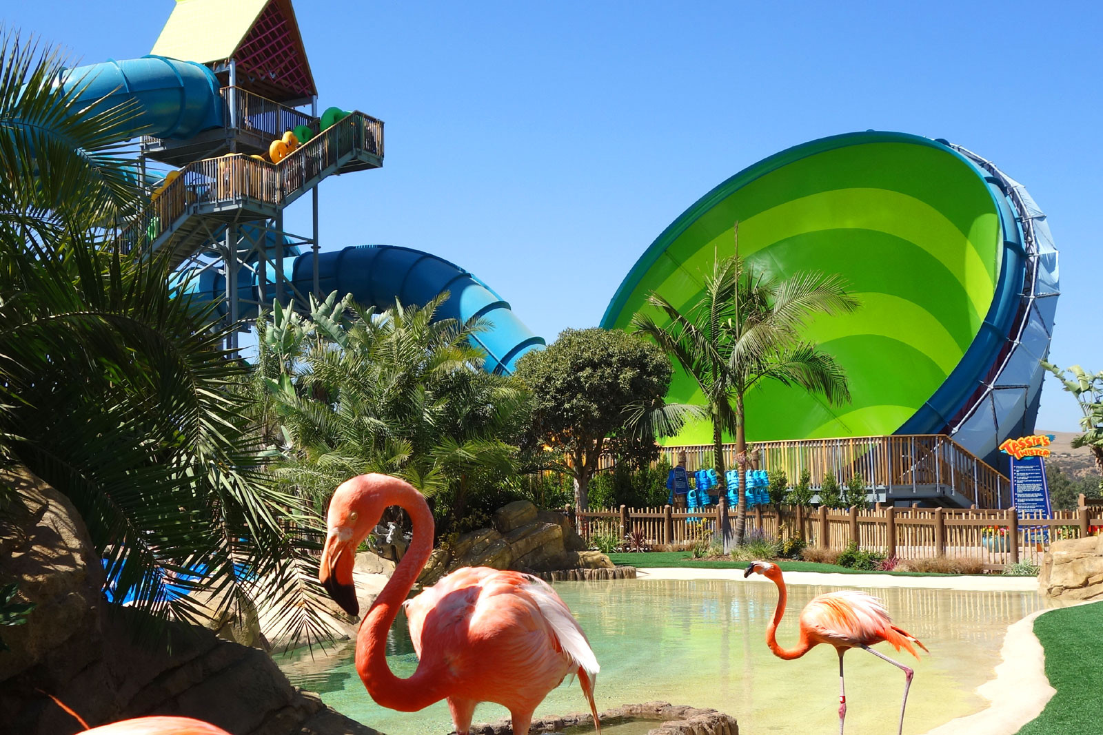 Green Adult Tornado Huge Water Slide Fiberglass Water Slide Outdoor