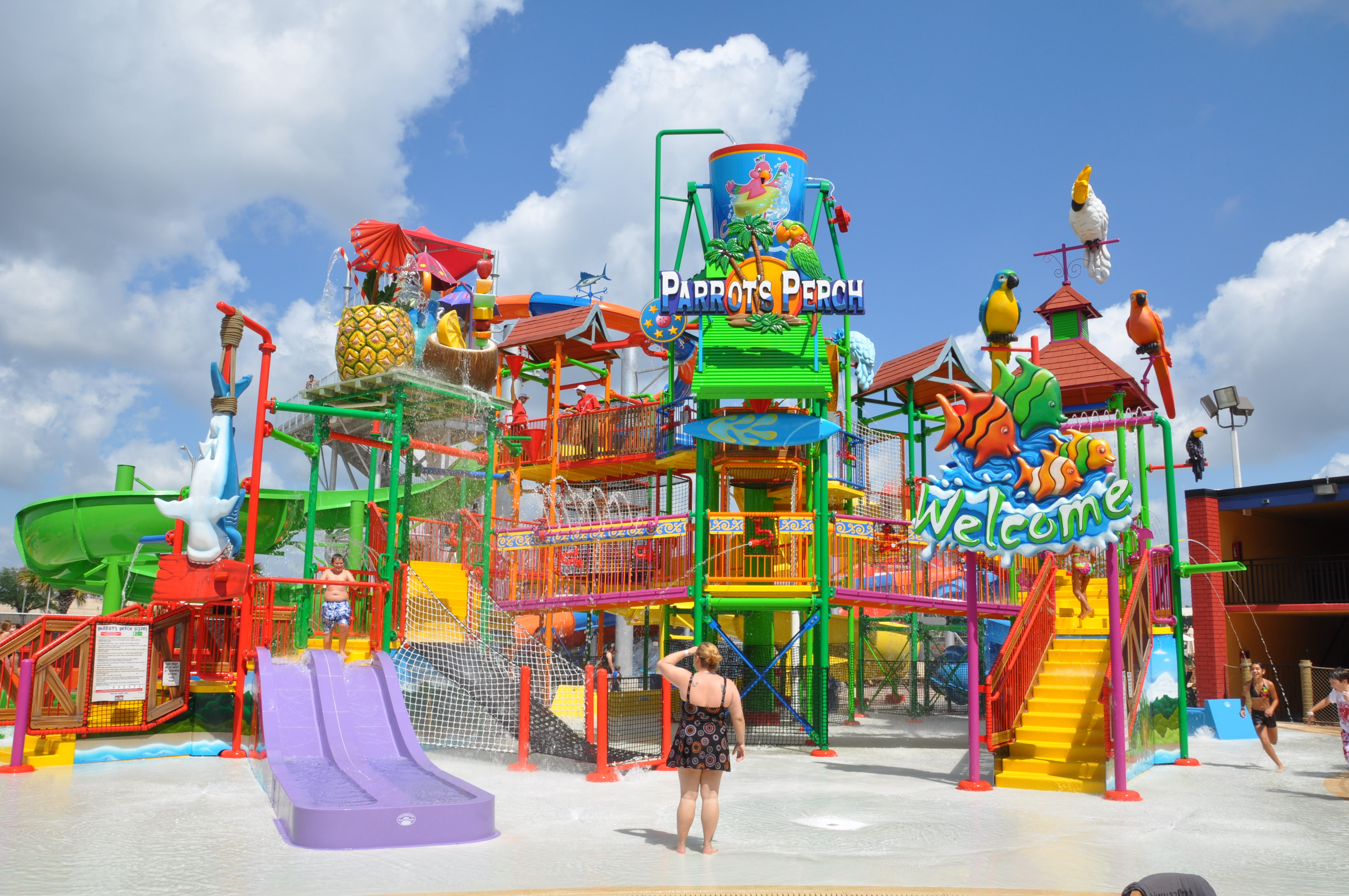 Childrens Amusement Water Playground Equipment Forest Style With Water Curtain