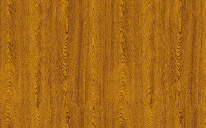 printed wood pattern color-coated steel coil